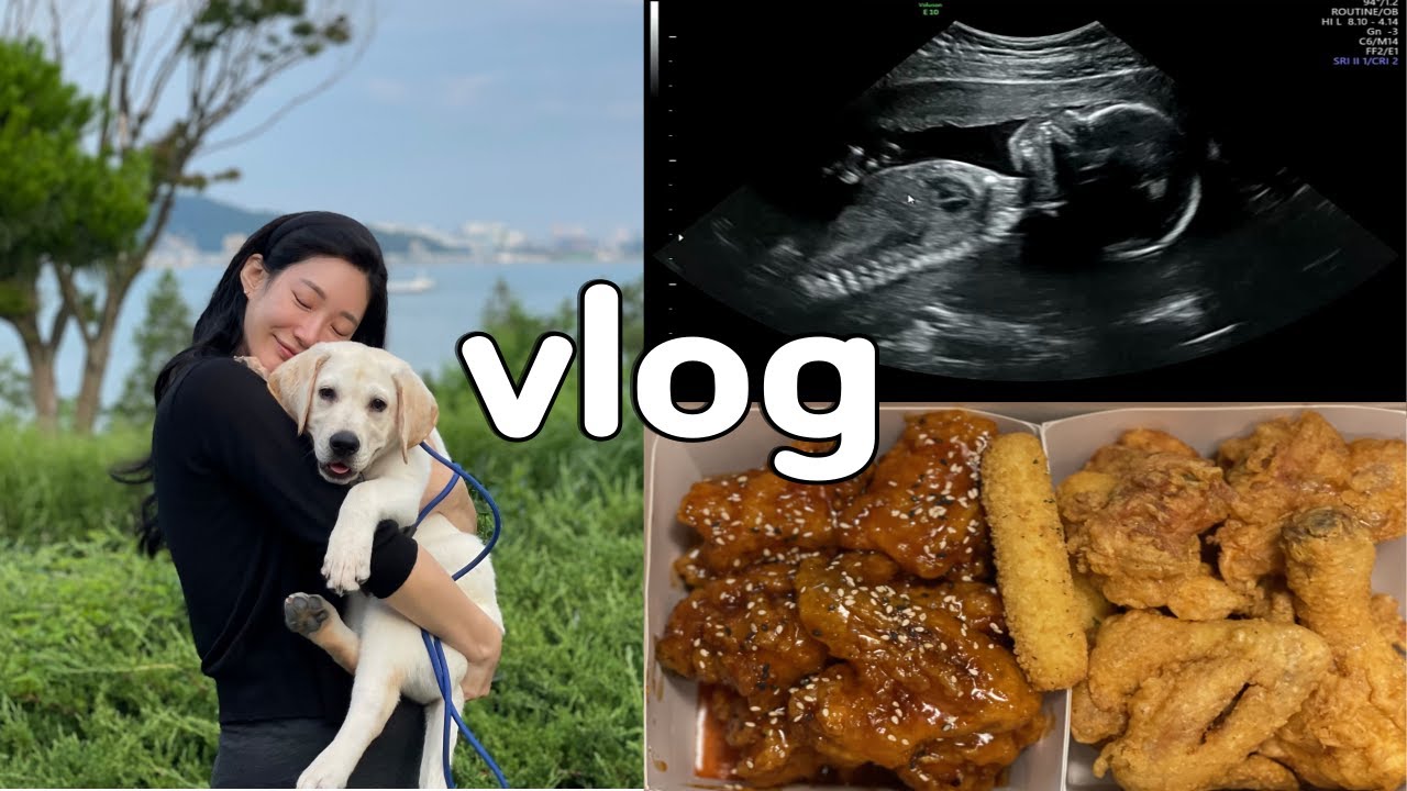 Vlog 임신 20주차 중기 정밀 초음파 시어머님 서프라이즈 생신파티 빵이 엄청 땡겨요 백호 첫 산책
