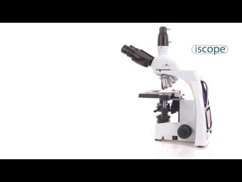 Euromex iScope trinocular microscope A masterpiece in microscopy - YouTube