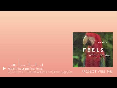 Calvin Harris - Feels (ft. Pharrell Williams, Katy Perry, Big Sean) 1 hour perfect loop