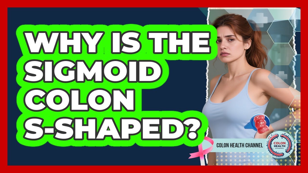 Why Is the Sigmoid Colon S-Shaped? - YouTube