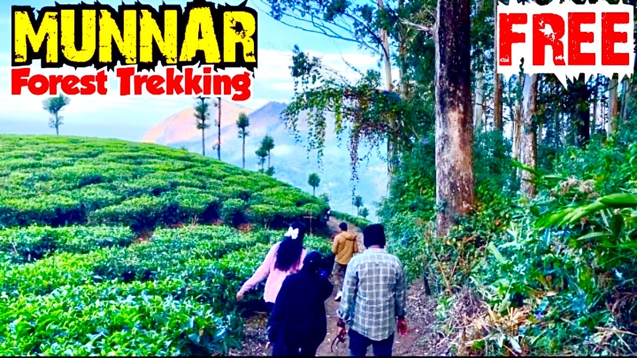 മുന്നാറിൽ ഒരു FREE Trekking package | Munnar forest trekking | munnar ...