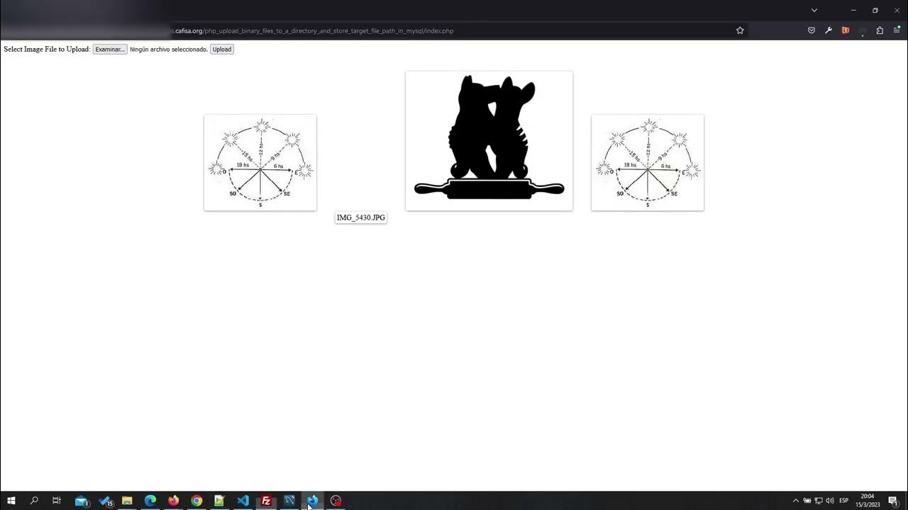 PHP | Upload binary files to a directory and store target file path in MySQL - YouTube
