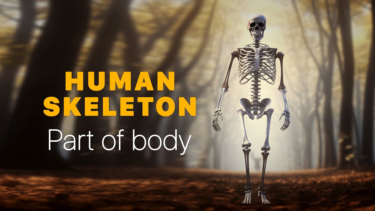 The MOST AMAZING Part of Your Body You Never Knew Existed - YouTube
