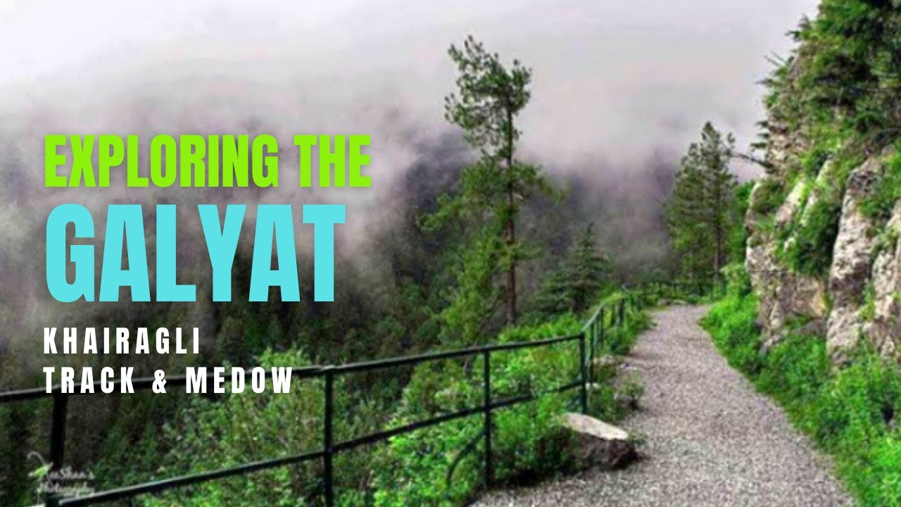 Galyat | khairagli forest track | khairagli medoows | ayubia #galyat # ...