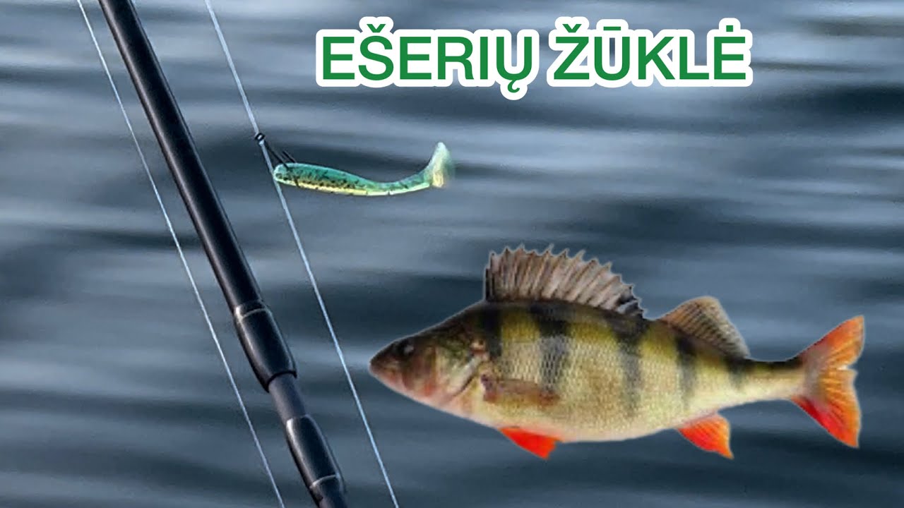 EŠERIŲ ŽVEJYBA MARGIO EŽERE 2023 - YouTube