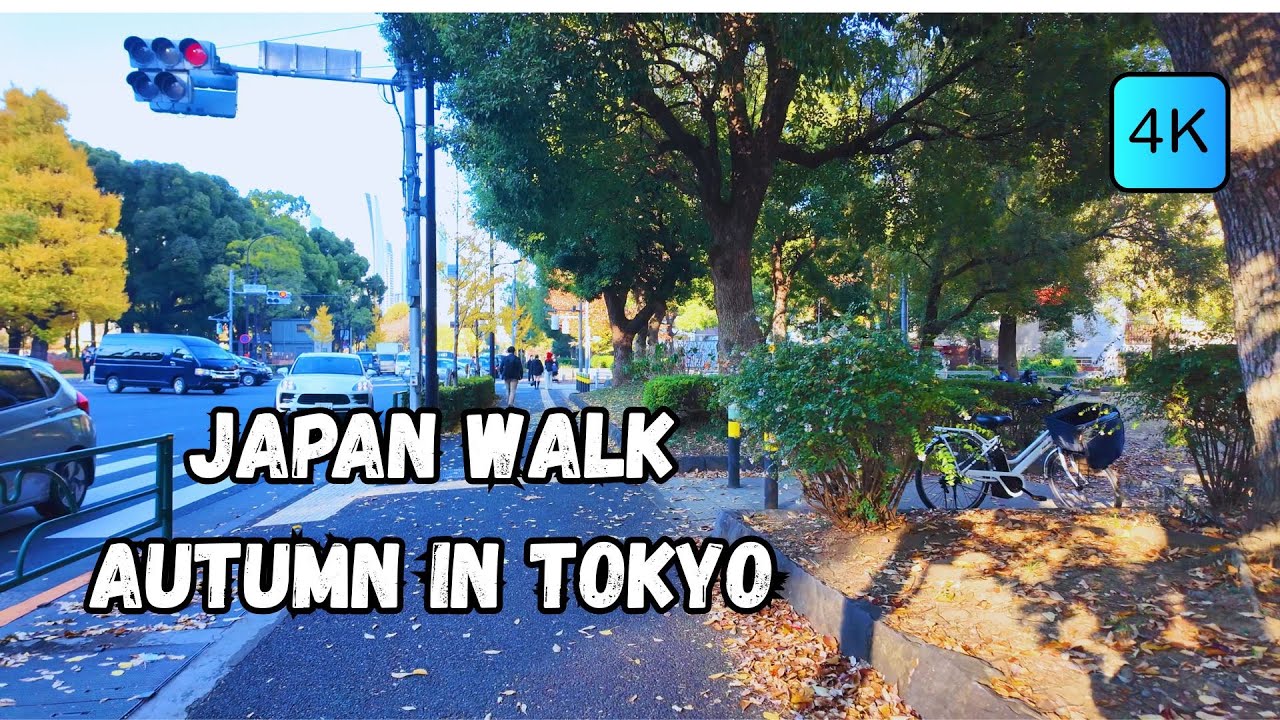 [Japan Walk 4K] In tokyo autumn walking tour tokyo suburbs ...