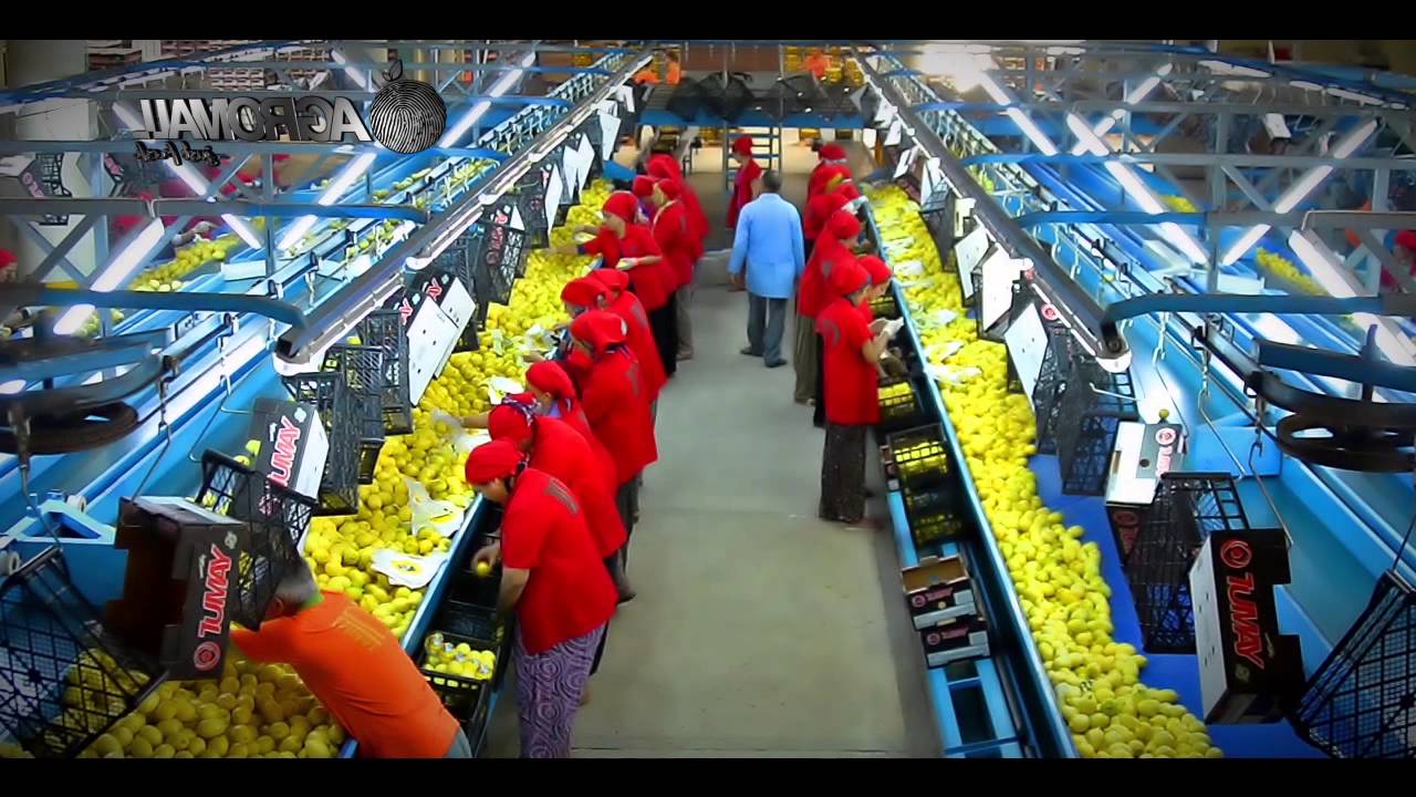 Agromall Tanıtım Filmi - YouTube