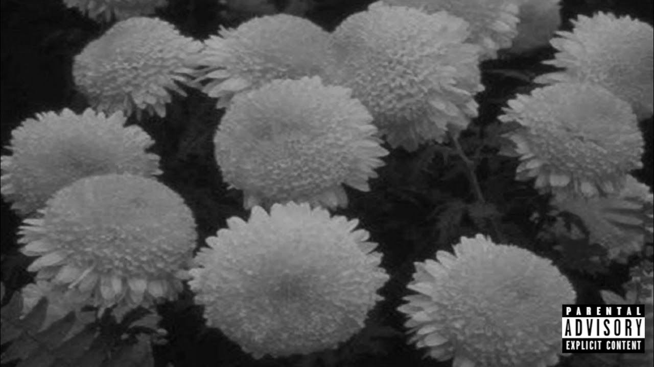 Letni - "Chryzantemy Złociste" , ale to drill - YouTube Music