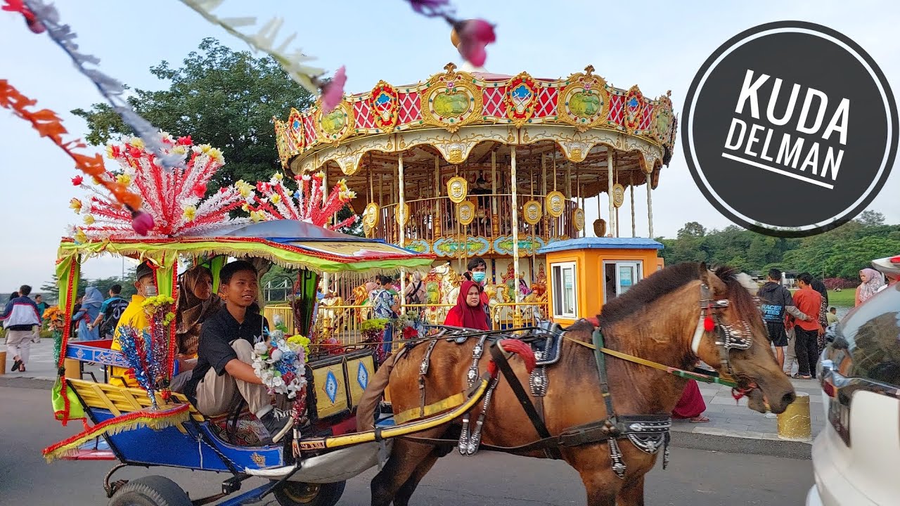 Naik Kuda Delman Istimewa || Kuda Hias || Kuda Delman || Kuda Istimewa ...