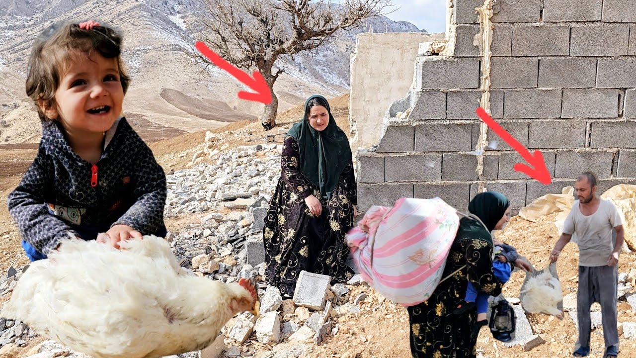 A new journey and a fresh shelter: Zahra's epic story of saving her ...