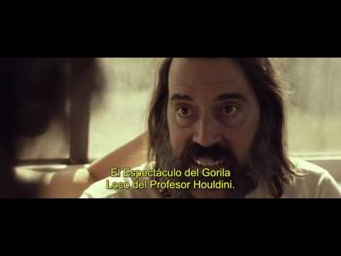31 Terror Sub Español