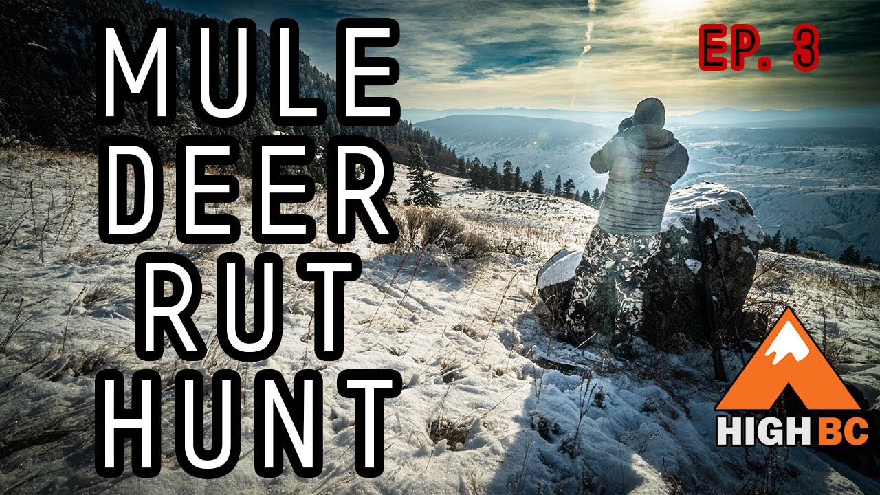 Mule Deer Rut Hunting - YouTube