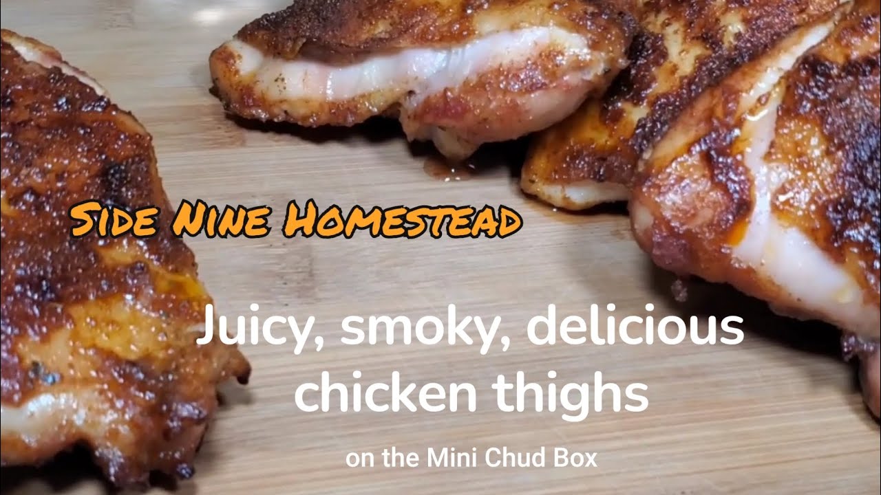 Perfect Chicken Thighs! QUICK and EASY budget friendly meal to feed a ...