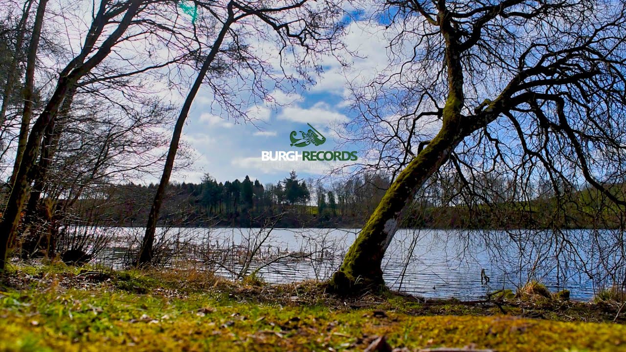 Nature Sounds Spring - Vlog Sound Effects - YouTube