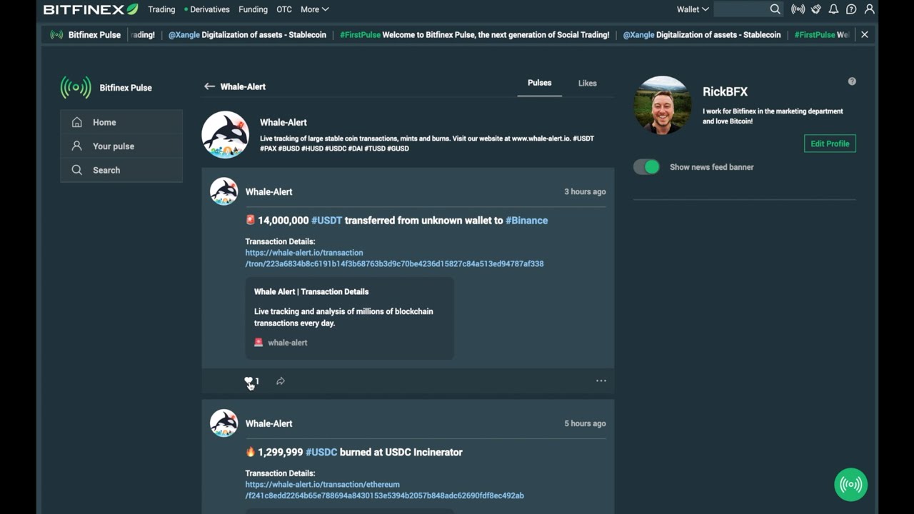 Bitfinex Pulse - Account creation tutorial - YouTube