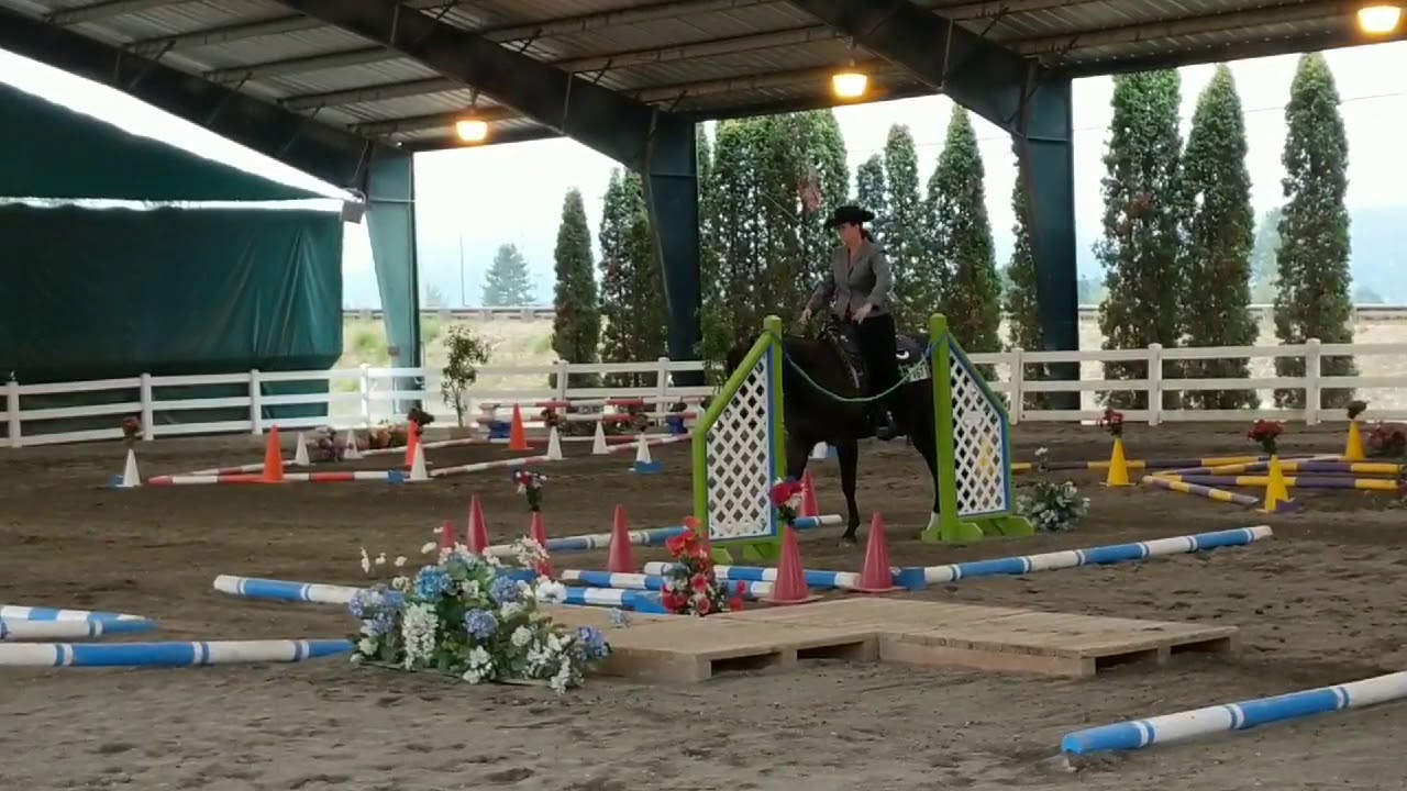 AQHA Level 1 trail horse - YouTube