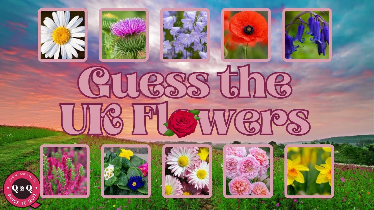 🇬🇧 🌸 Guess the UK Flower Challenge! 🌿 | Can You Name Them All? 🌺 - YouTube