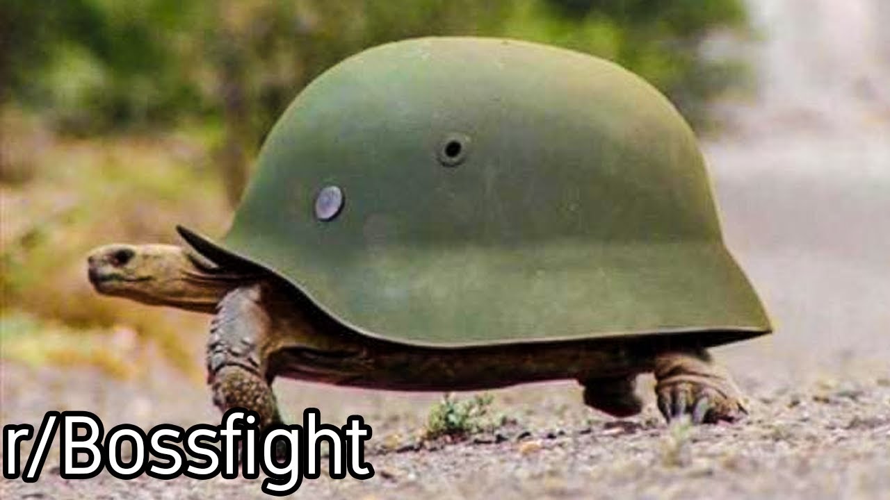 r/Bossfight | Turtle Soldier... - YouTube
