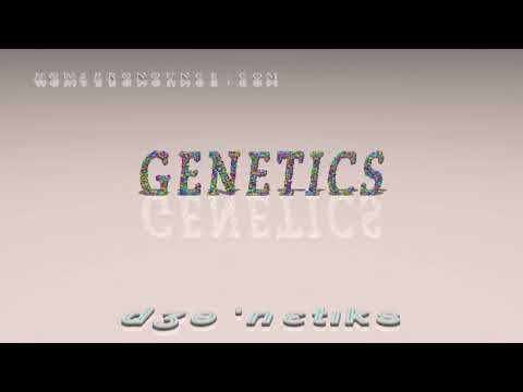 What Is An Example Sentence For Genetics