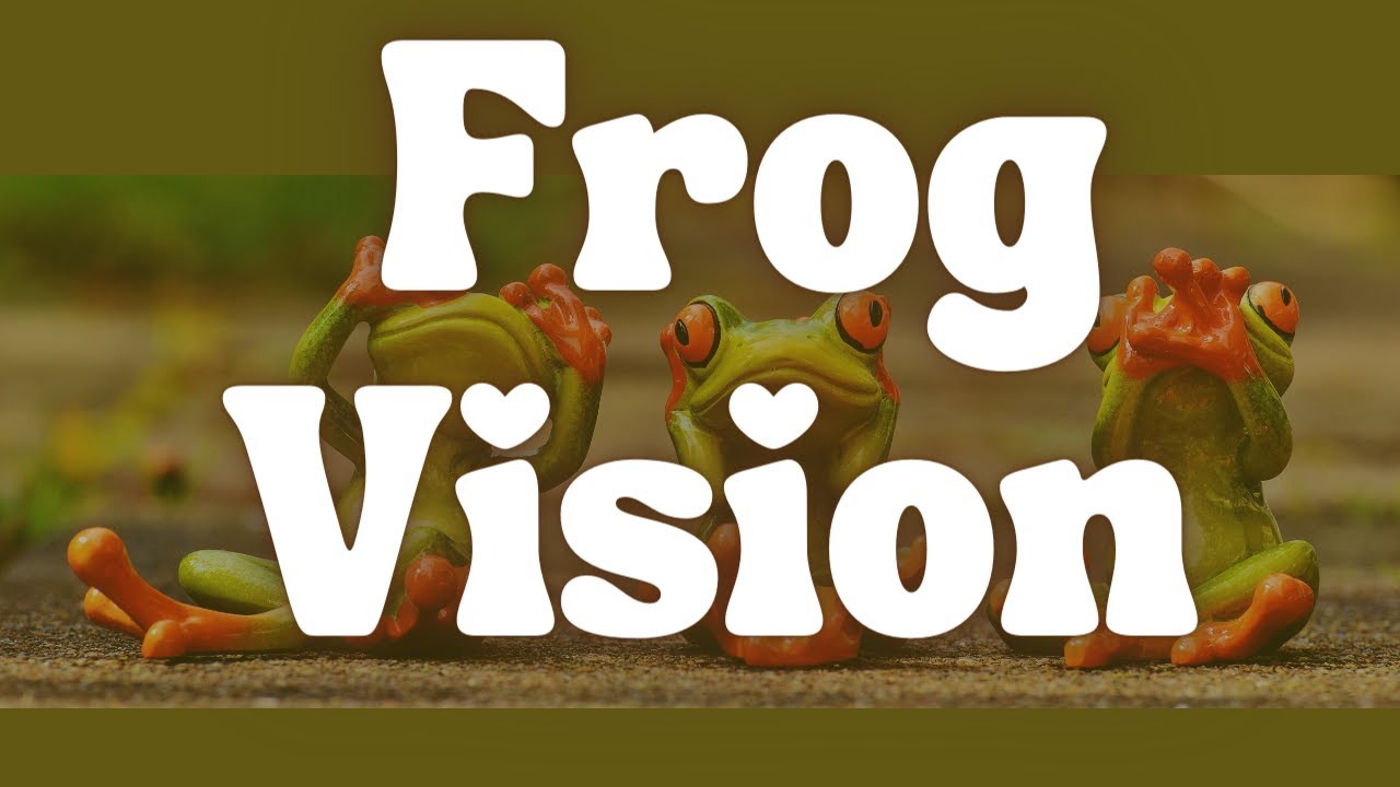 Frog Vision by EDMpanda @EDMpandacharm & Pharma Tom @pharmatom7208 ...