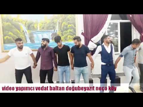 Ağrı doğubeyazıt doğu düğünleri aşiret van istanbul bitlis malatya bingöl diyarbakir amed muş halay