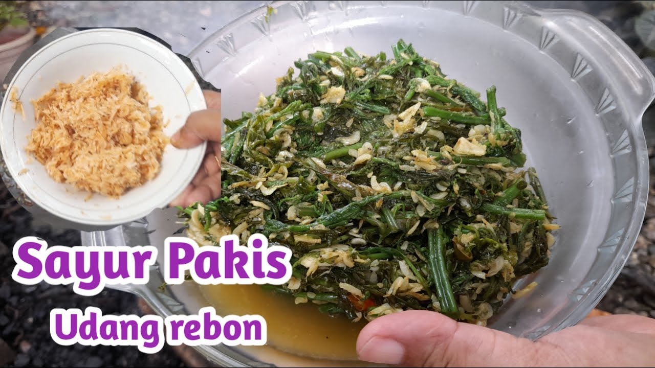 Enak banget sayur ini | Masak sayur pakis udang rebon | Tumis sayur ...