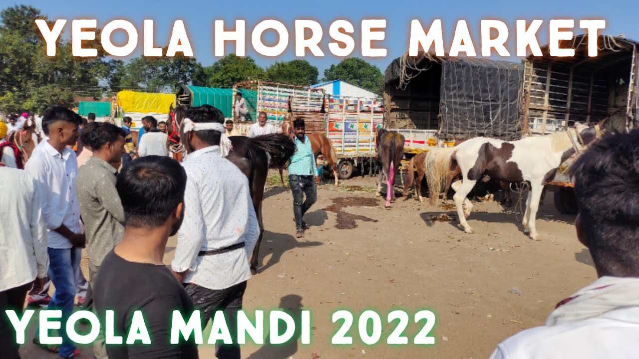 Yeola horse market 2022 live update | ghoda bazar in Maharashtra Yeola ...