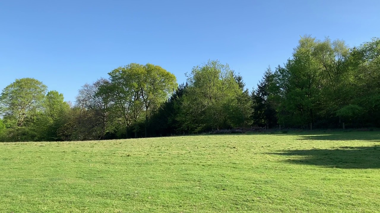 A small field bathed in sunlight - YouTube