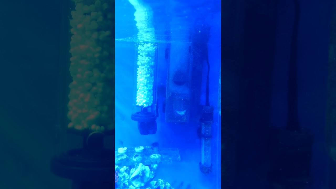 Innovative marine desktop reactor bio pellets - YouTube