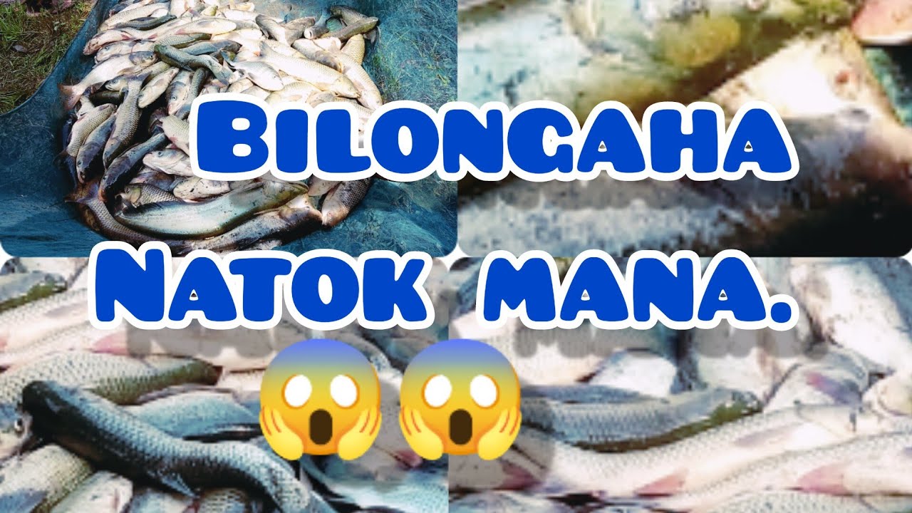 Natok bange manaha☺️☺️☺️ - YouTube