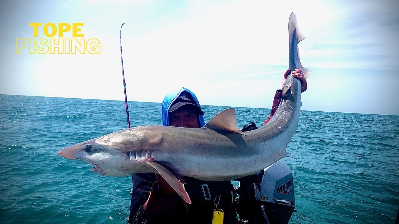 Deep Reef Fishing For Tope On A Small 3 Meter Boat #seafishinguk - YouTube