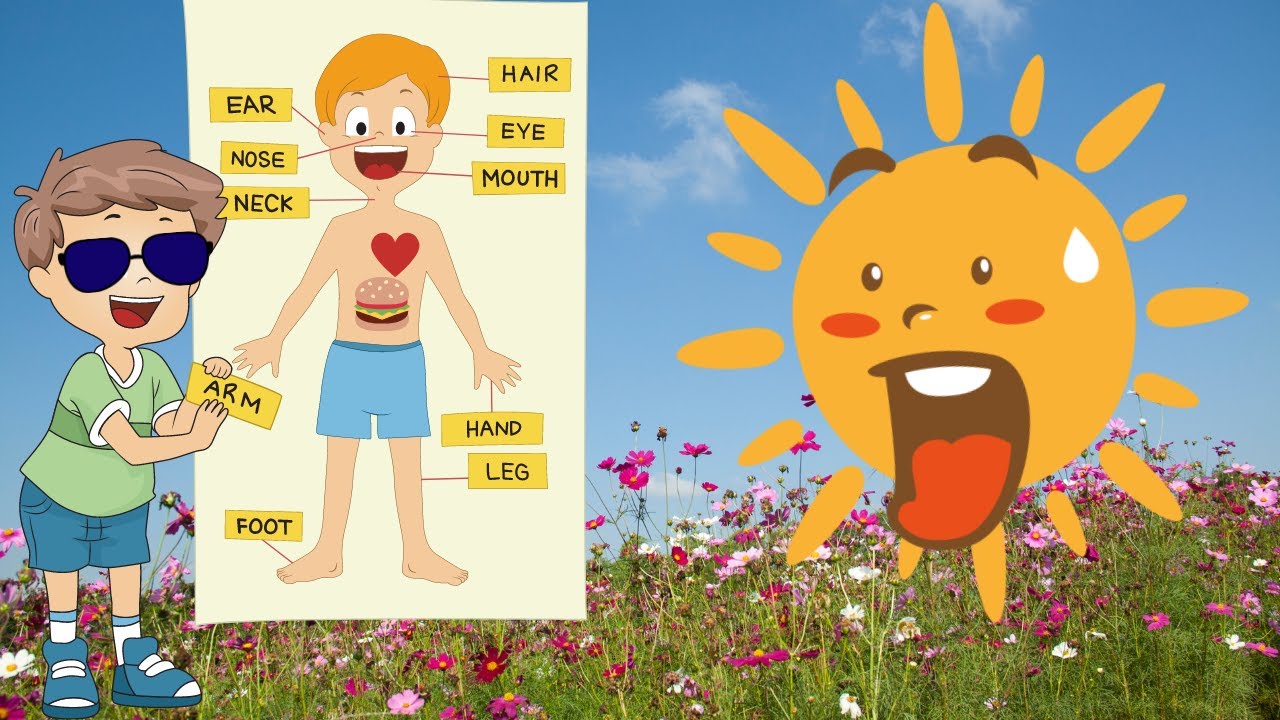 DANCE AND LEARN BODY PARTS AND COLORS IN NATURE - YouTube