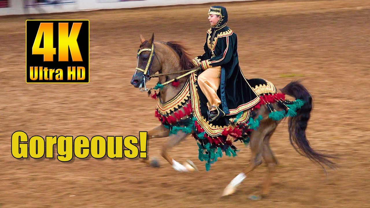 Scottsdale Arabian Horse Show Native Costume Championship (18 & Under ...