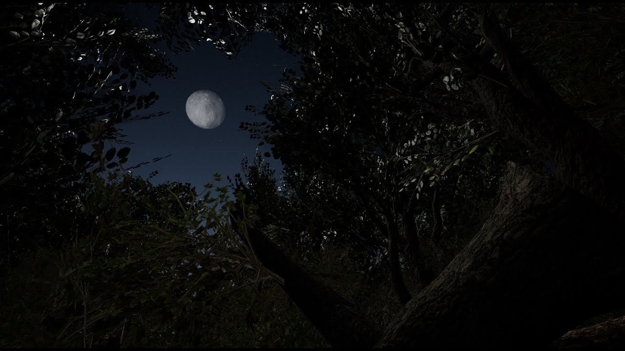 The Fey Lands - UE4 MP RPG Dev Stream - YouTube