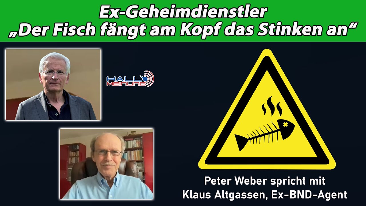 Ex-Geheimdienstler: „Der Fisch fängt am Kopf das Stinken an“ - YouTube