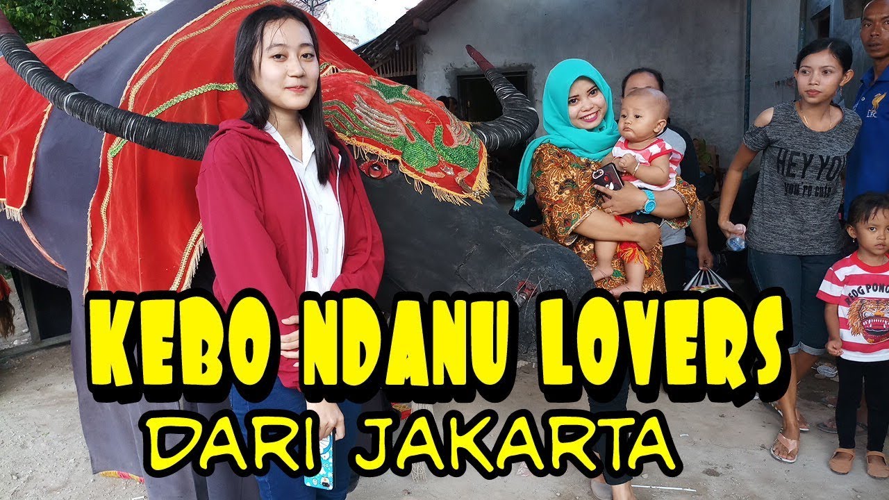 Kesenian Kebo Ndanu,bikin histeris warga rejosari kebonsari madiun ...