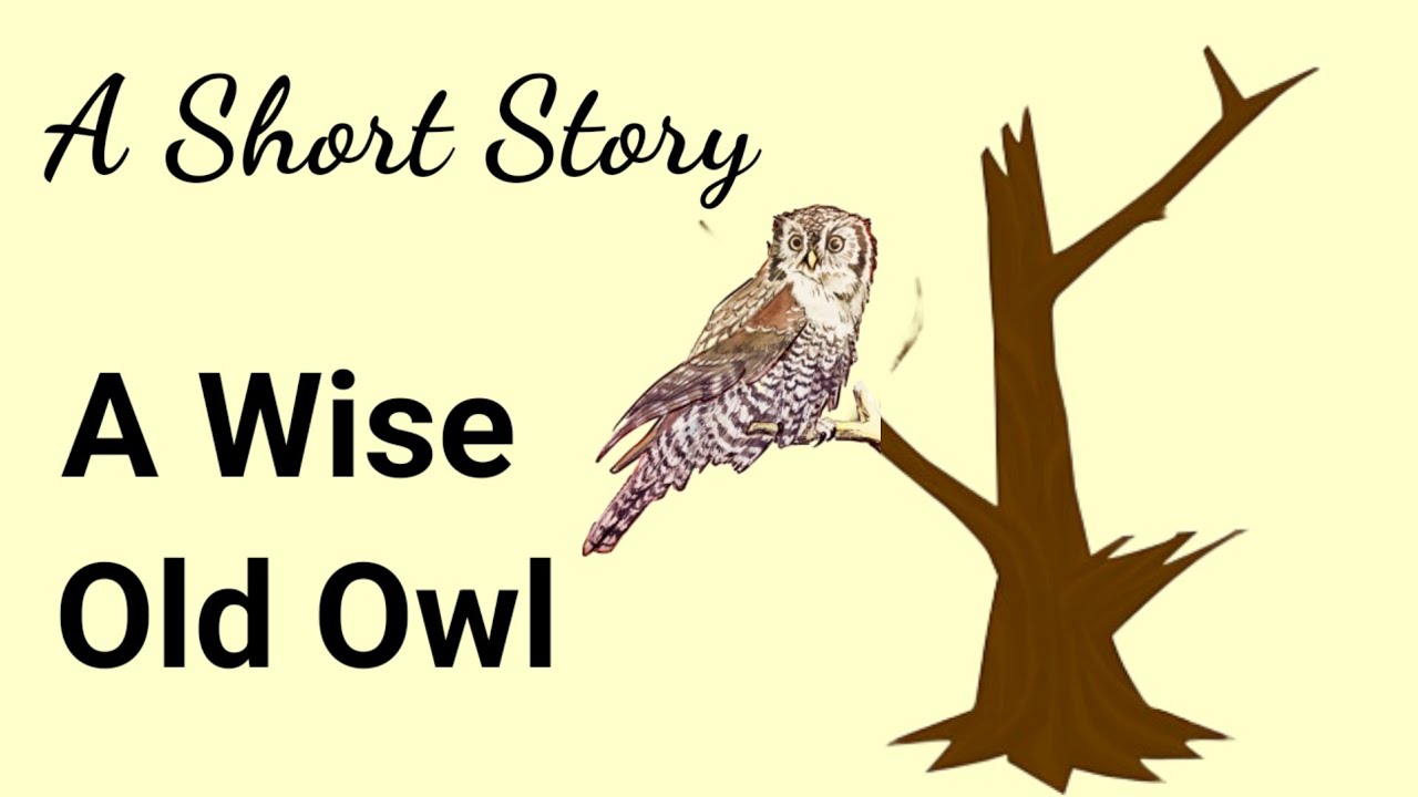 A Wise Old Owl 🦉 | moral stories | english story | motivational ...