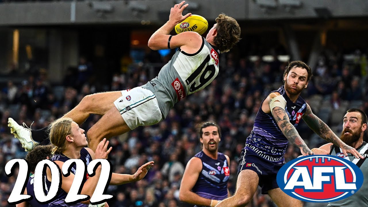 Mitch Georgiades 2022 AFL Highlights - YouTube