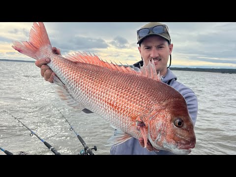 CHASING BIG REDS WITH JESSY PINTER - YouTube