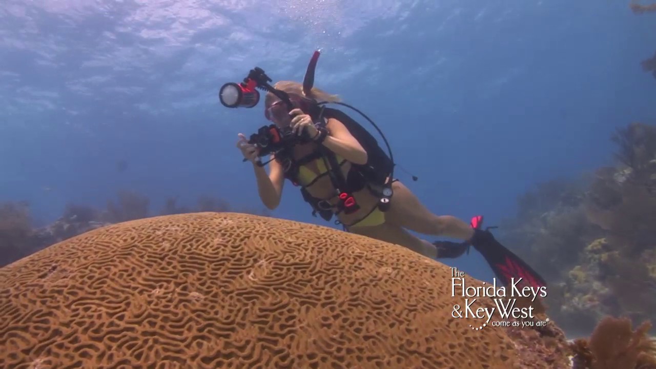 Dive Sombrero Reef H264 Widescreen 1280x720 1 - YouTube