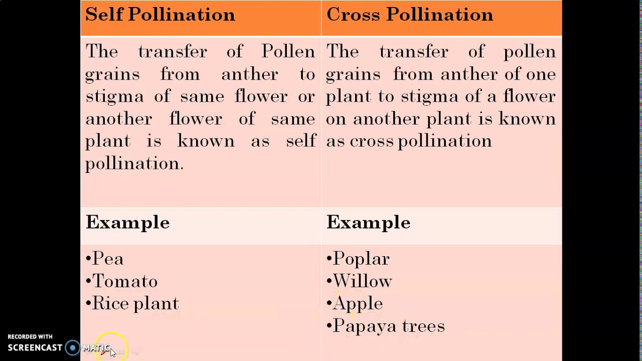 class 7 lecture 15 ( Kinds of Pollination) science - YouTube