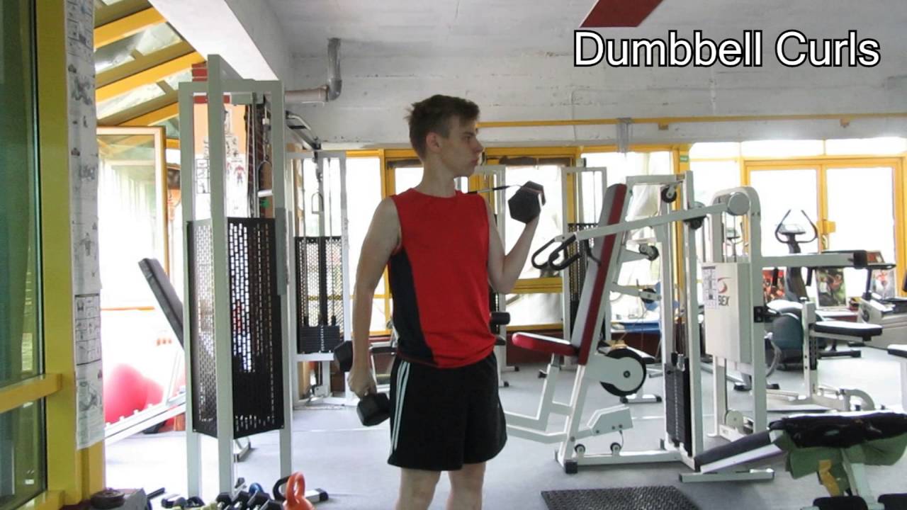 Moj trening/vjezbe za ruke (Biceps & Triceps) - YouTube