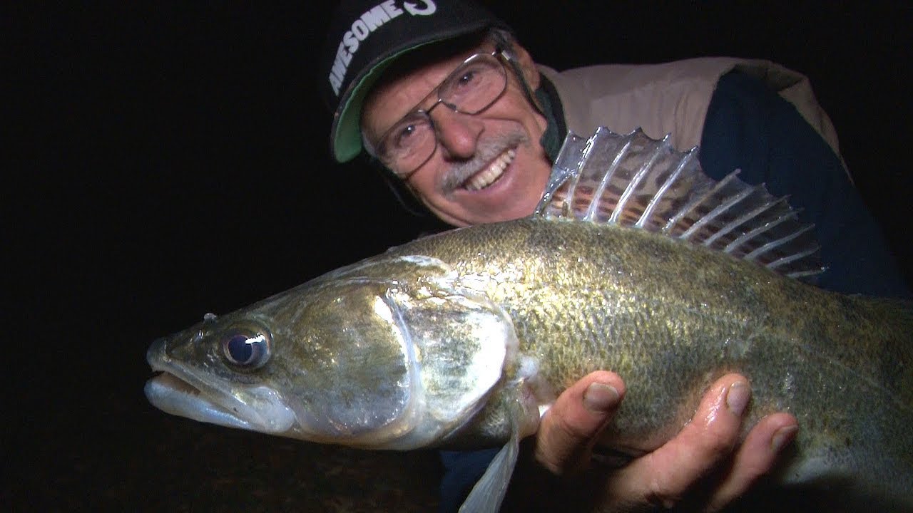 Night Fishing for SPOOKY FISH! - YouTube