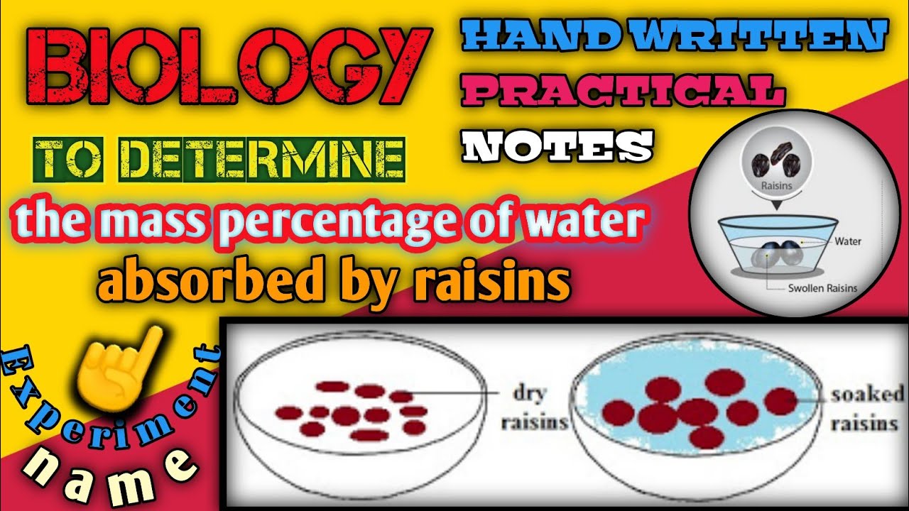 Determination of the percentage of water absorbed by raisins - 10th ...