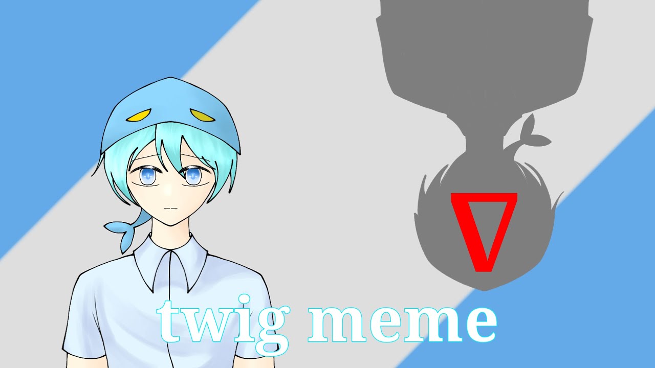 (뜰팁 초세여)twig meme - YouTube