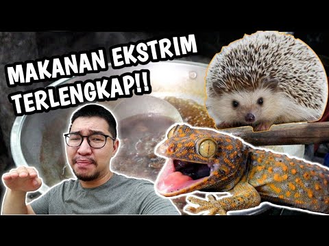 KULINER PALING EXTREME DI INDONESIA!! MAKANAN YANG TERSEMBUNYI DI DALAM ...
