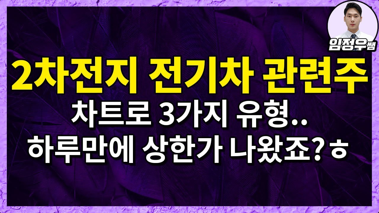 임정우 2차전지 차트 장단점으로 종목 업데이트 테슬라lg화학한농화성전기차 배터리에코프로비엠한농화성휘닉스