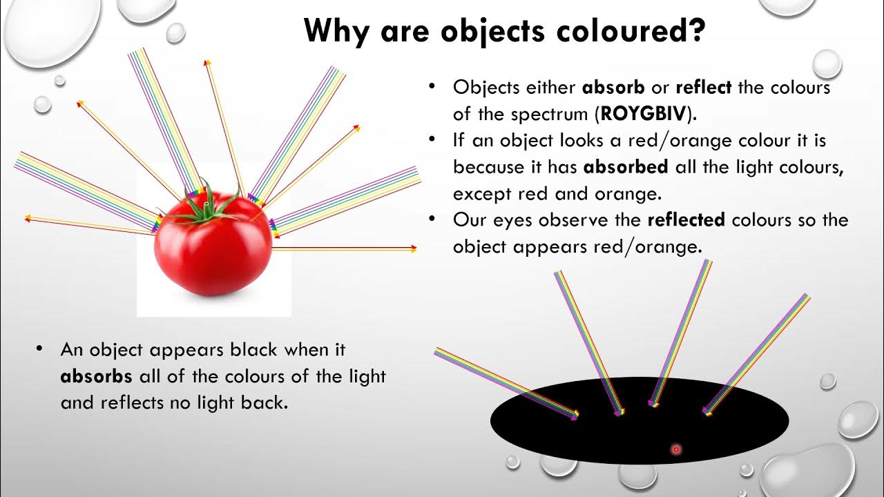 Science Revision - Why do Objects have different colors? - YouTube