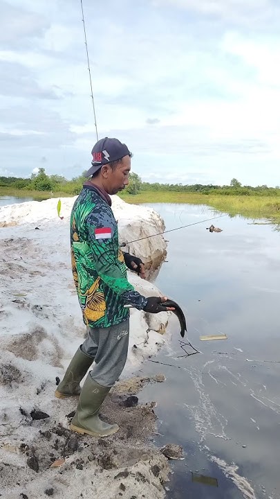 Jangan lupa mancing 🤣#mancing #fishing - YouTube