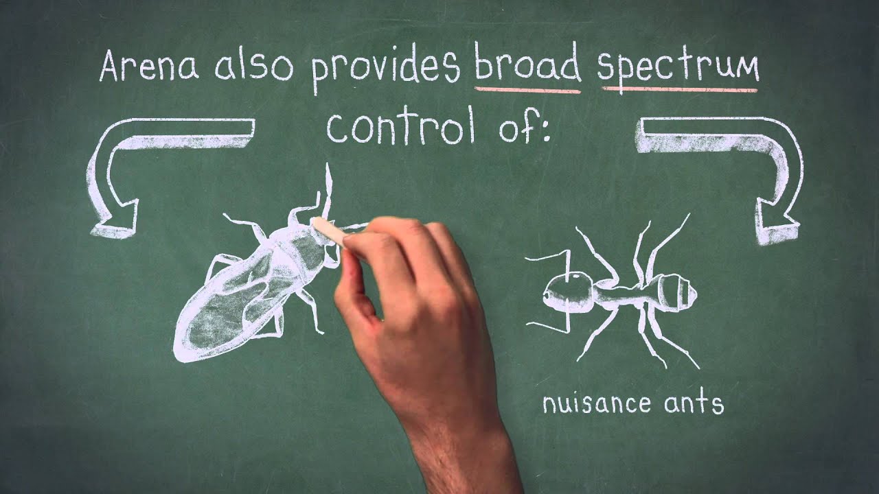 Control Lawn Grubs with Arena® Insecticide - YouTube